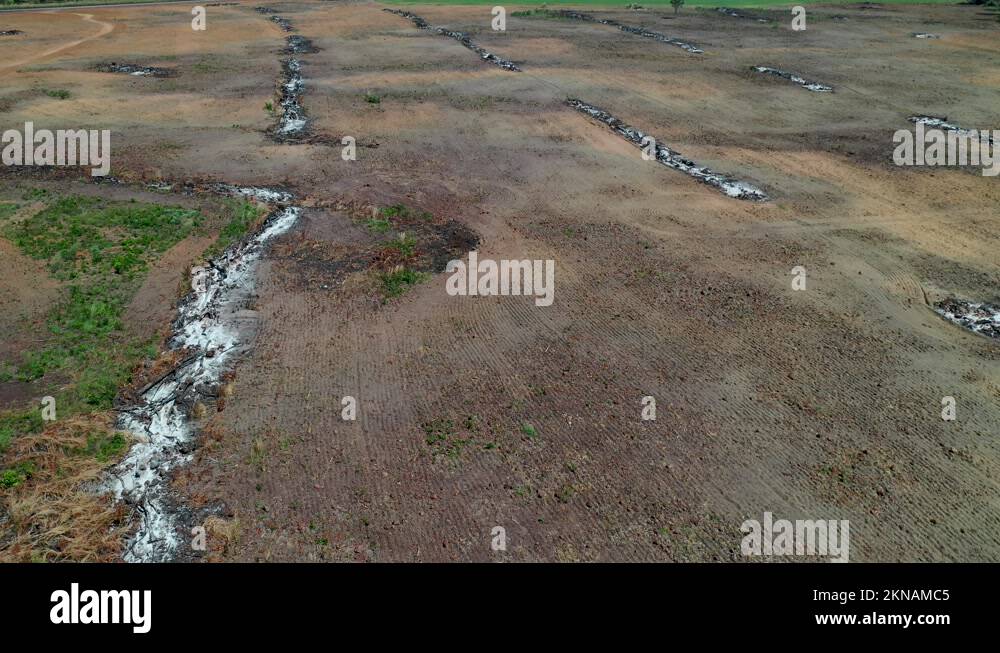 Cerrado ecosystem Stock Videos & Footage - HD and 4K Video Clips - Alamy