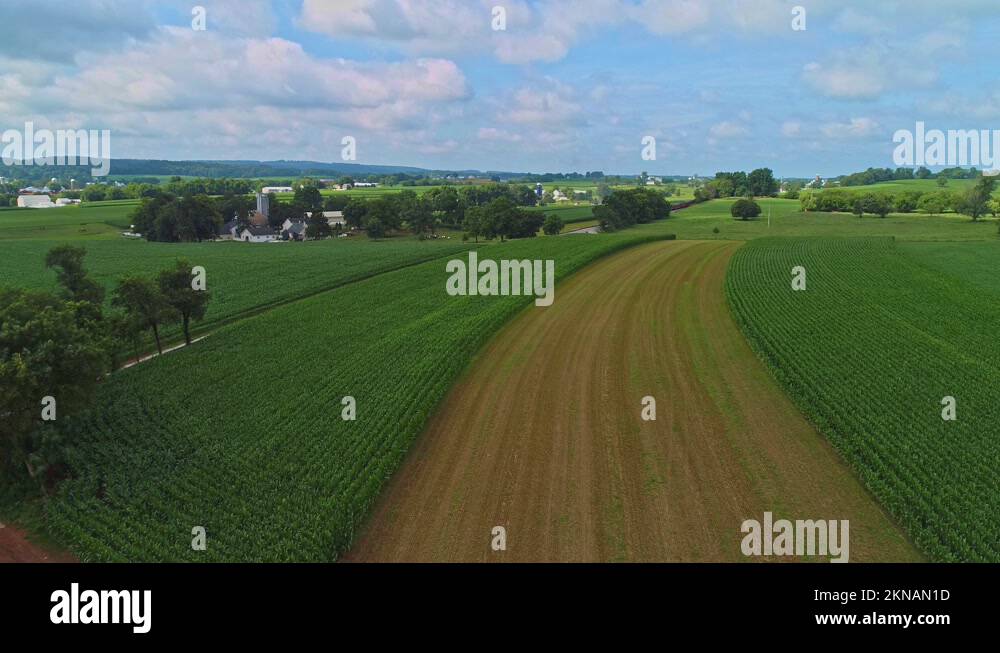 An Aerial Traveling View of Corn Fields and Harvesting Crops, with ...