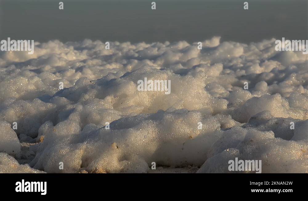 Archaea archaebacteria Stock Videos & Footage - HD and 4K Video Clips ...