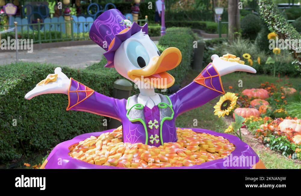 Donald duck disney Stock Videos & Footage - HD and 4K Video Clips - Alamy