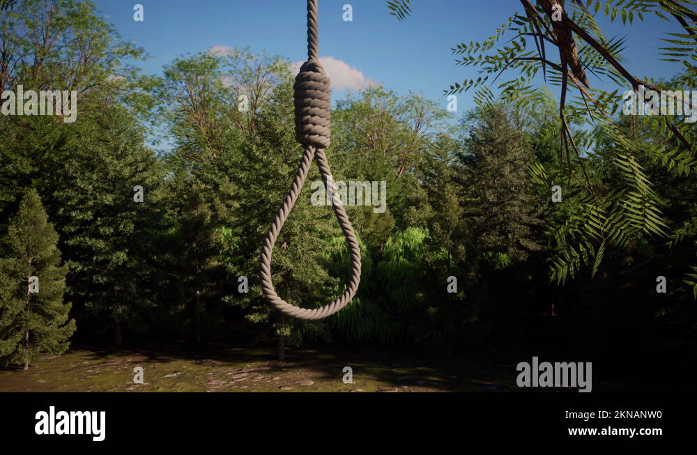 Rope noose hanging from tree Stock Videos & Footage - HD and 4K Video ...