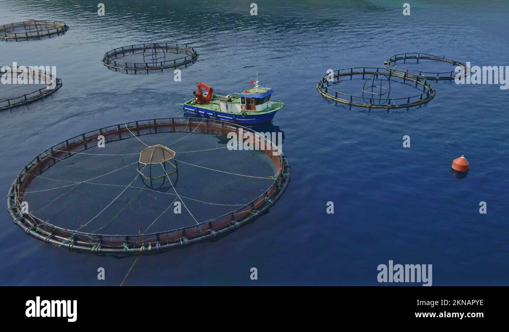 At a caged industrial fish farm in the middle of the sea Stock Video ...