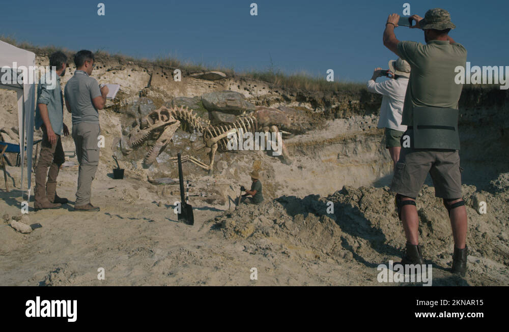 Archaeologists working at dig site Stock Videos & Footage - HD and 4K ...