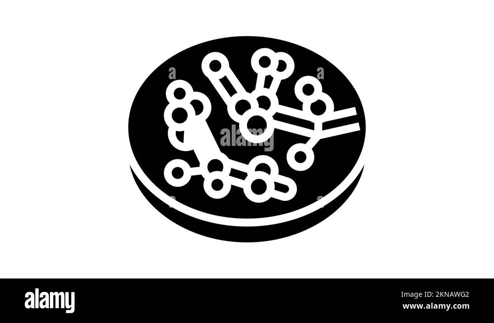 Candida albicans fungi Stock Videos & Footage - HD and 4K Video Clips ...