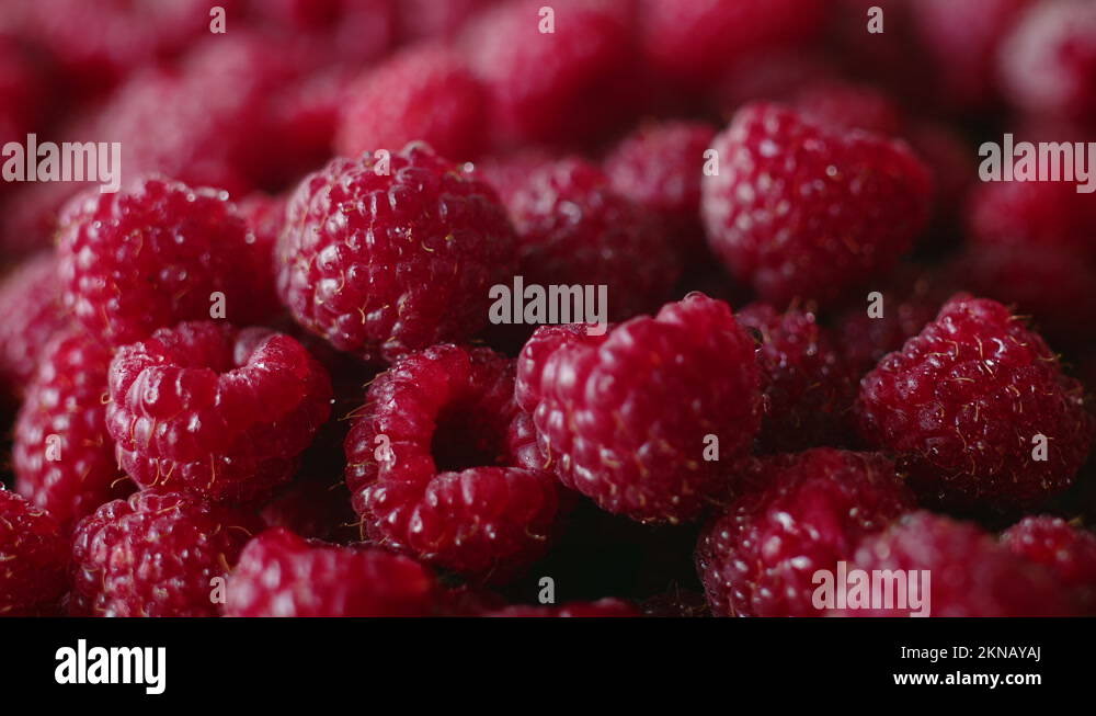 Juicy and delicious raspberries rich in vitamins and useful for ...