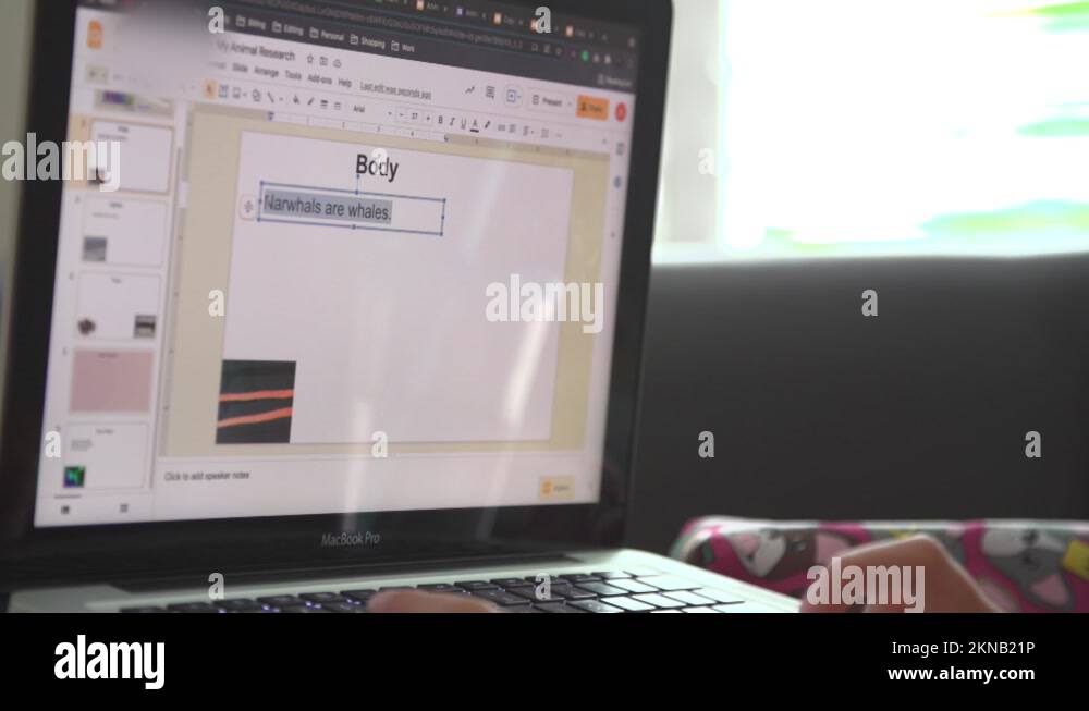 Schoolproject Stock Videos & Footage - HD and 4K Video Clips - Alamy