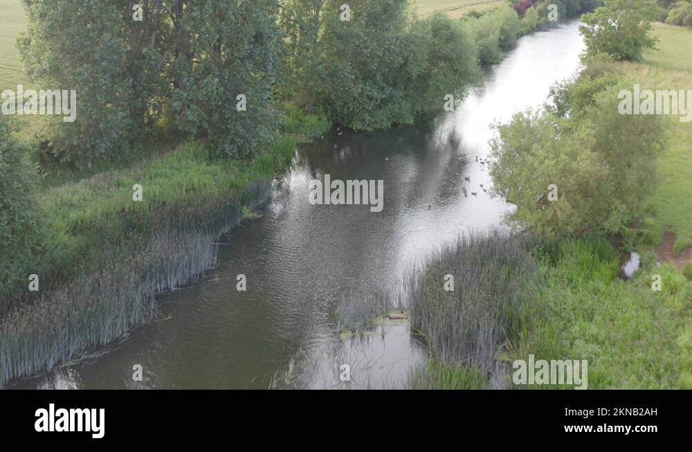 A beautiful, narrow stream passing through a grassland; camera panning ...