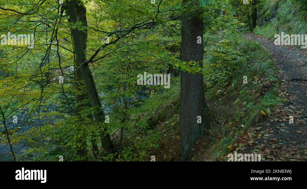 Pathway and valley with water stream pan in beautiful autumn fall ...