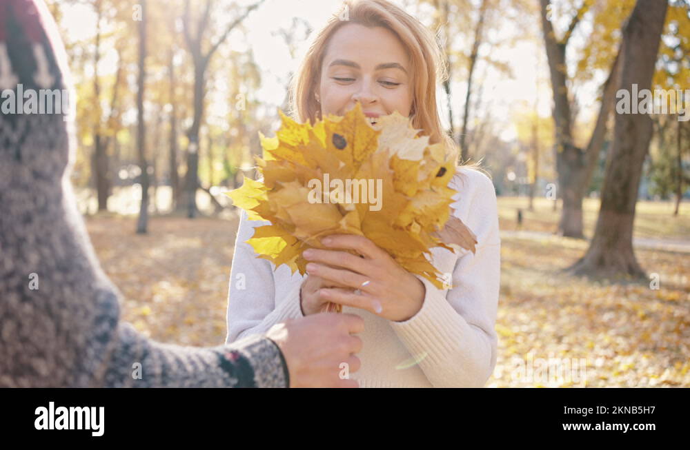 Romance leaves Stock Videos & Footage - HD and 4K Video Clips - Alamy
