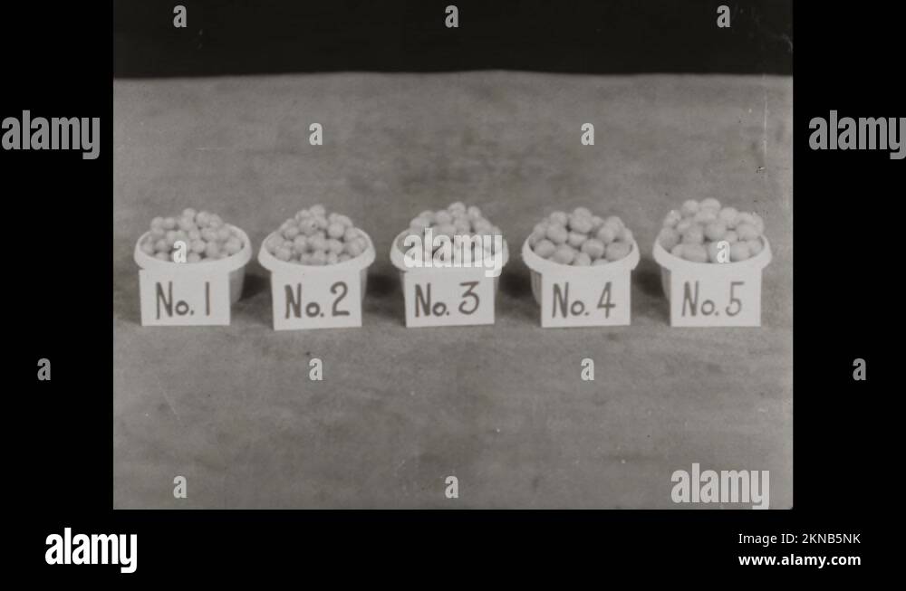 Pea size Stock Videos & Footage - HD and 4K Video Clips - Alamy