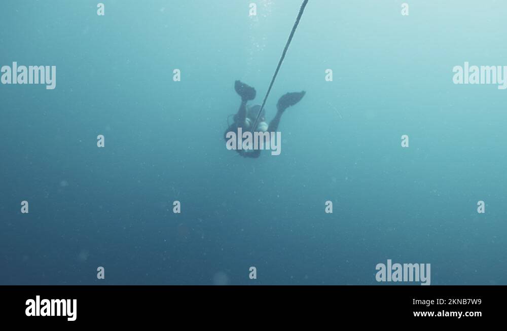 On to a rope Stock Videos & Footage - HD and 4K Video Clips - Alamy