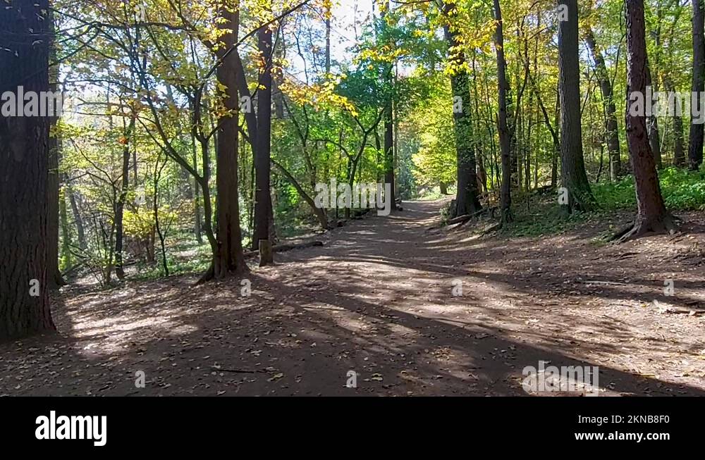 Beautiful pathway Stock Videos & Footage - HD and 4K Video Clips - Alamy