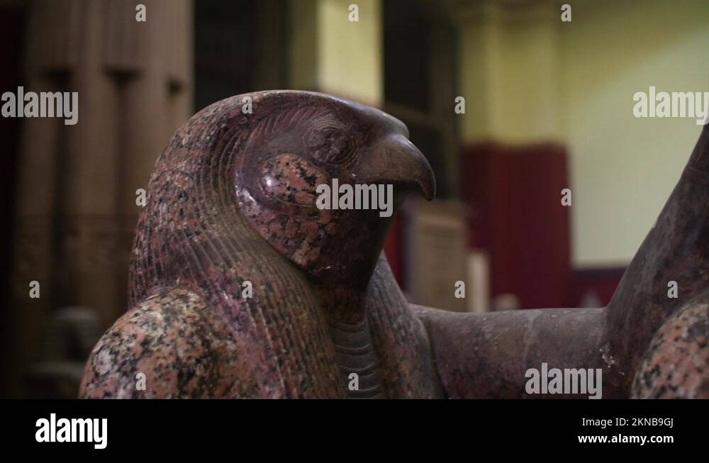 Ancient Egyptian Anubis statue in Egyptian museum Stock Video Footage ...