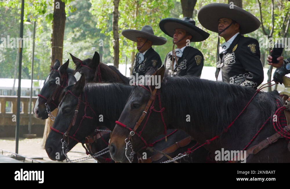 Police in Mexico City on patrol mounted to horses wear traditional ...