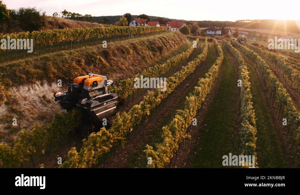 Over the row harvester Stock Videos & Footage - HD and 4K Video Clips ...