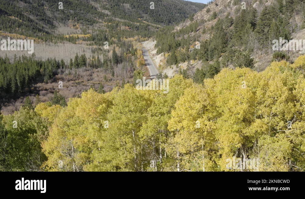 Cottonwood trees in fall colors Stock Videos & Footage - HD and 4K ...