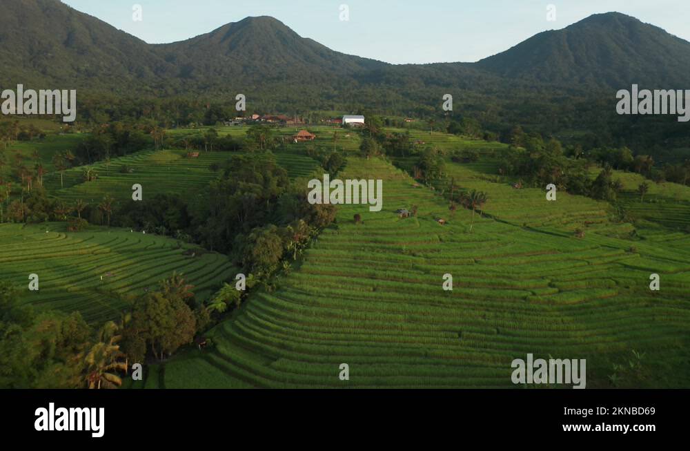 Subak bali unesco Stock Videos & Footage - HD and 4K Video Clips - Alamy