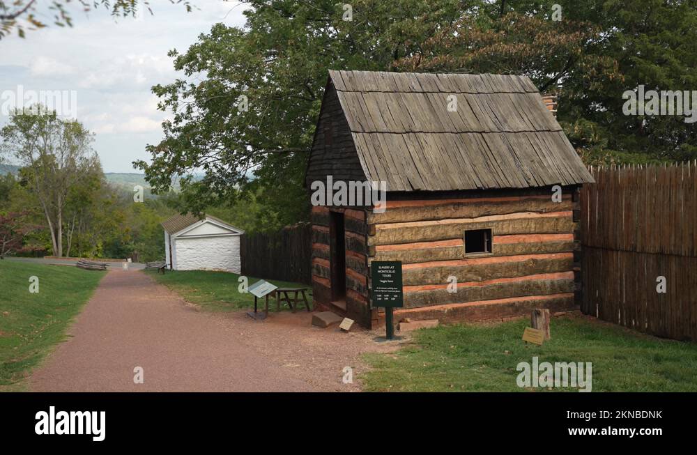 Mulberry plantation Stock Videos & Footage - HD and 4K Video Clips - Alamy