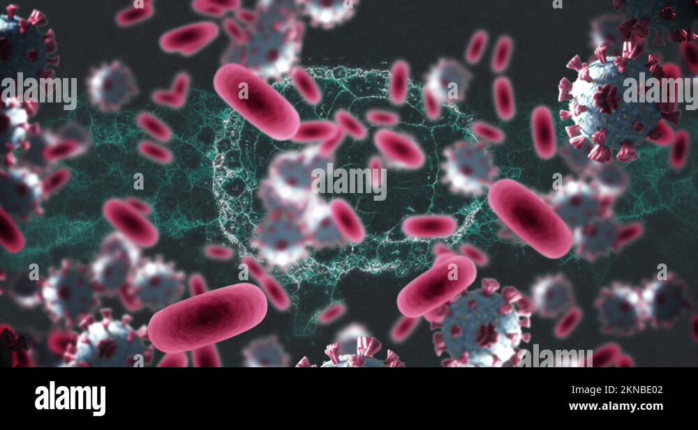 Animation of covid 19 and red blood cells with human brain spinning ...