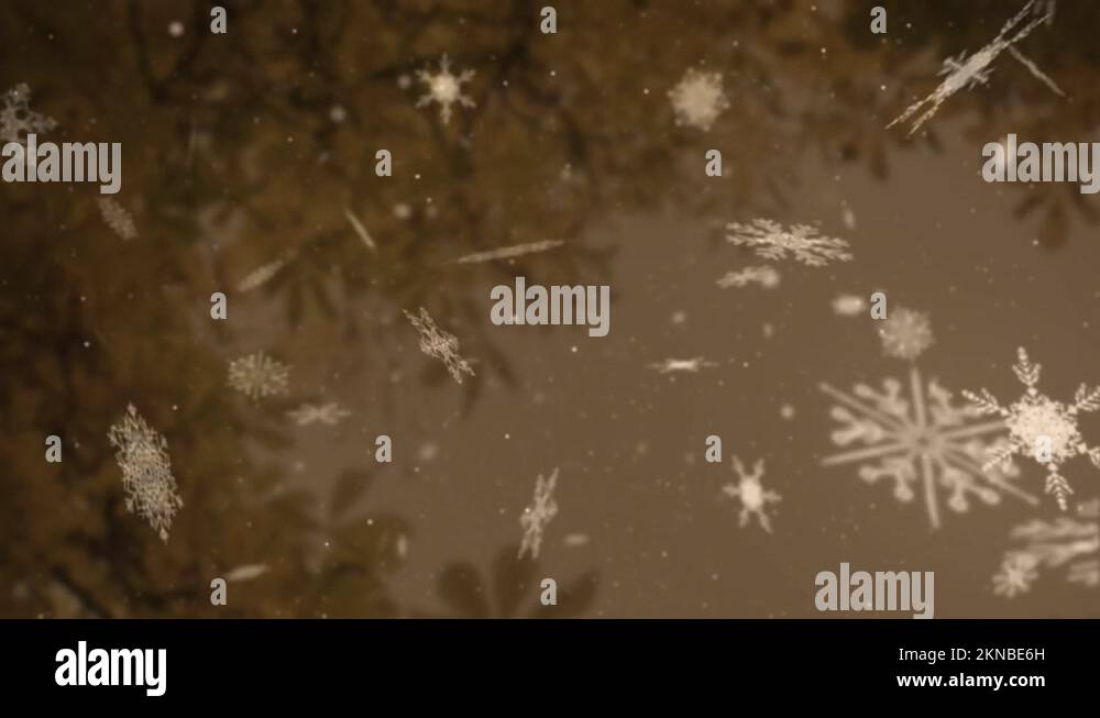 Falling over tree Stock Videos & Footage - HD and 4K Video Clips - Alamy
