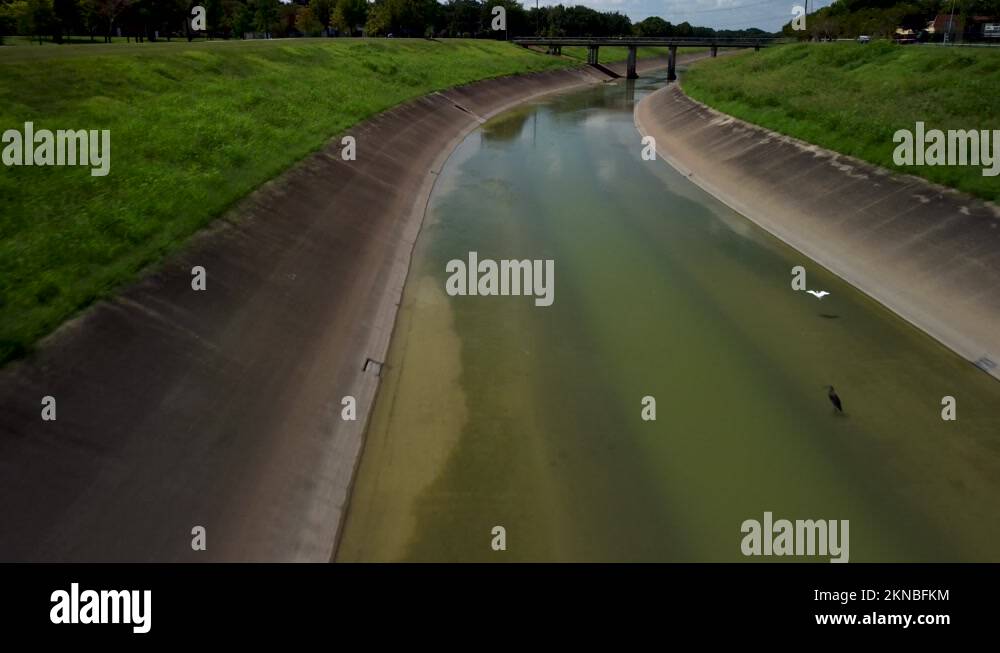 Bayou bird Stock Videos & Footage - HD and 4K Video Clips - Alamy