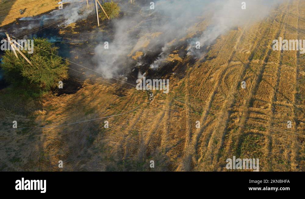 Firefighter in overalls extinguishes huge burning flame on mown crops ...