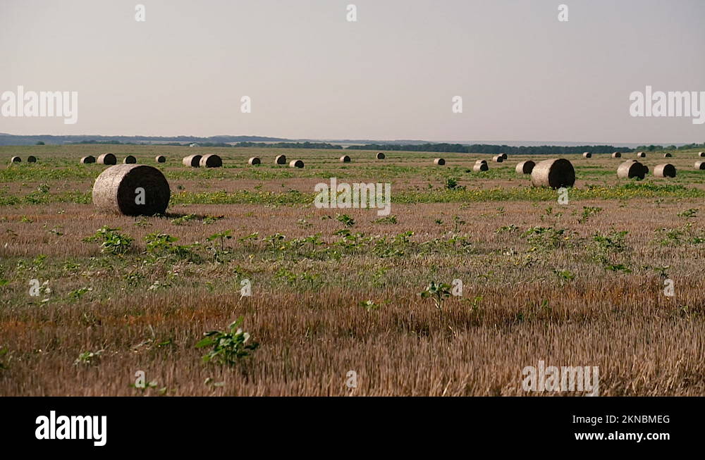 Field of boulders Stock Videos & Footage - HD and 4K Video Clips - Alamy