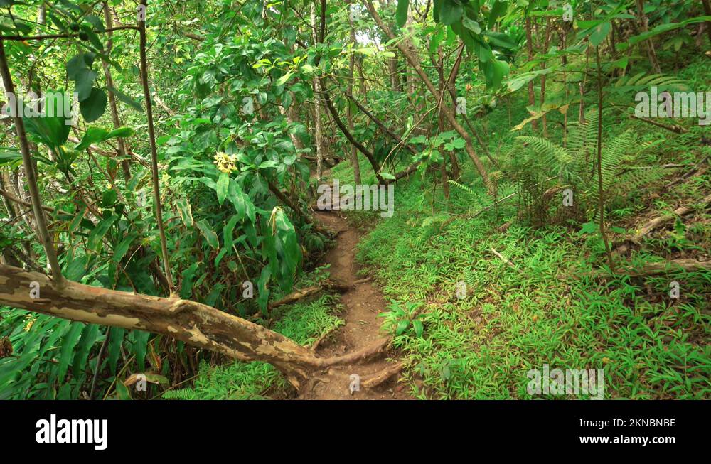 Deep growing Stock Videos & Footage - HD and 4K Video Clips - Alamy