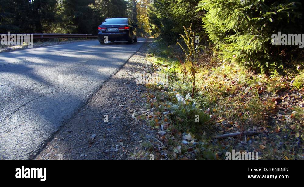 Throwing litter from car Stock Videos & Footage - HD and 4K Video Clips ...