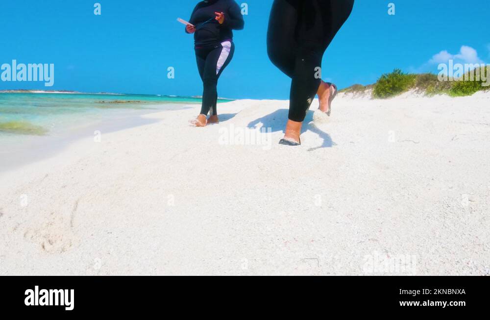 Overweight women on beach Stock Videos & Footage - HD and 4K Video ...