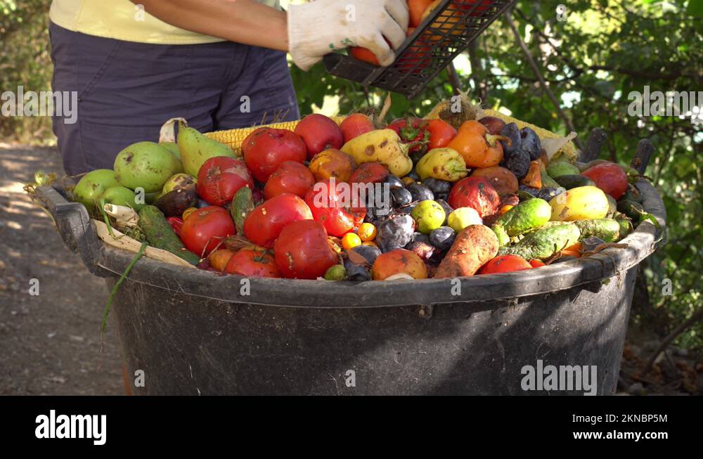 Heap of fruits and vegetables Stock Videos & Footage - HD and 4K Video ...
