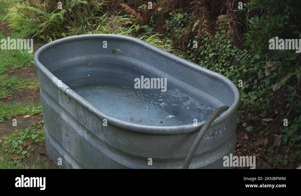 Water bath method Stock Videos & Footage - HD and 4K Video Clips - Alamy