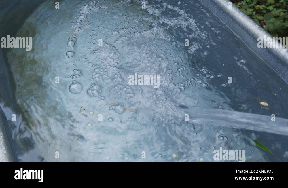 Cold water recovery Stock Videos & Footage - HD and 4K Video Clips - Alamy
