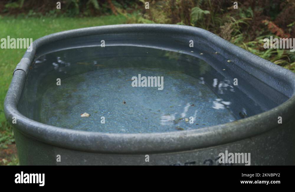 Plunge water Stock Videos & Footage - HD and 4K Video Clips - Alamy