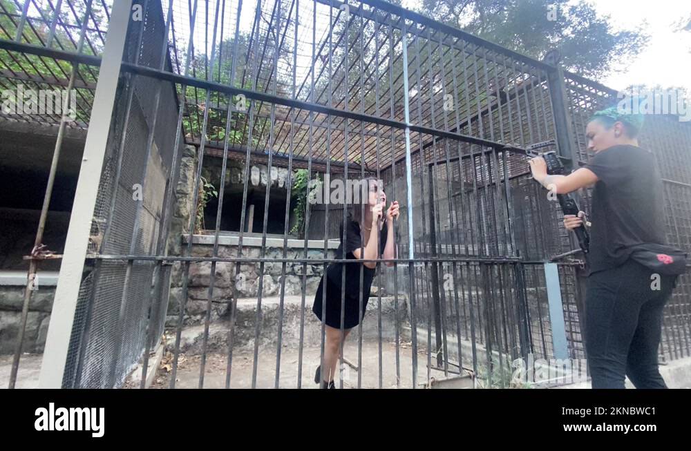 Zoo performer Stock Videos & Footage - HD and 4K Video Clips - Alamy