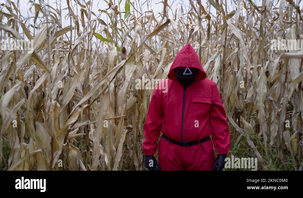 Squid game soldier Stock Videos & Footage - HD and 4K Video Clips - Alamy