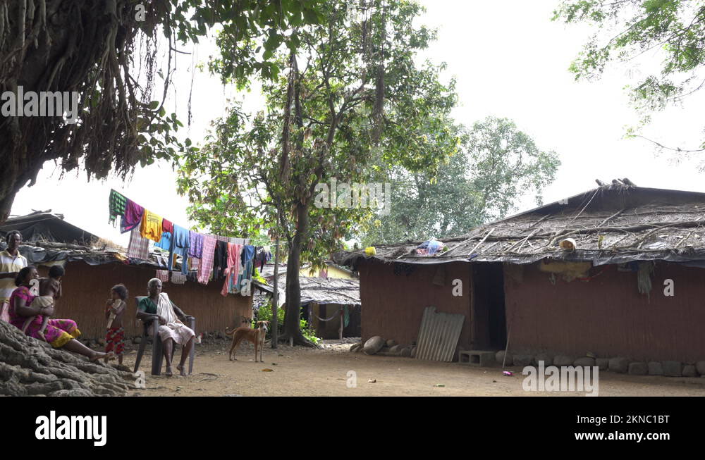 Traditional living roof architecture india Stock Videos & Footage - HD ...