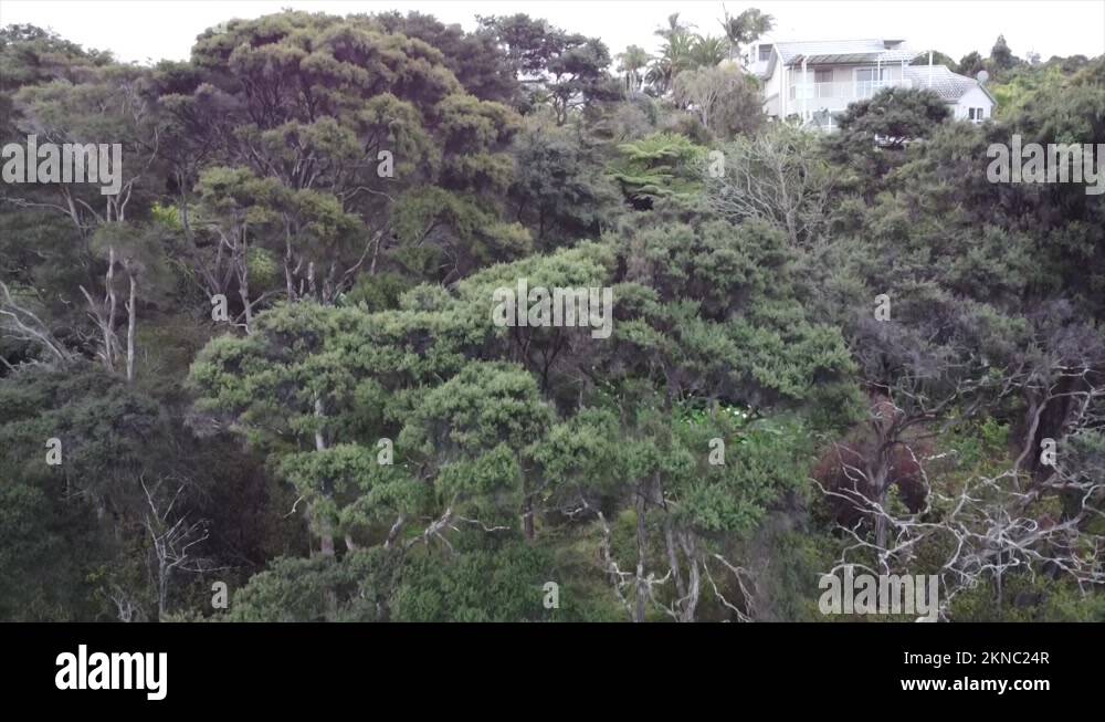 Decending Stock Videos & Footage - HD and 4K Video Clips - Alamy