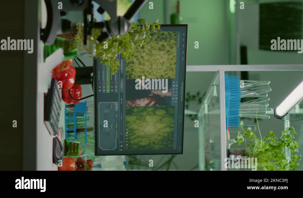 Empty laboratory test Stock Videos & Footage - HD and 4K Video Clips ...