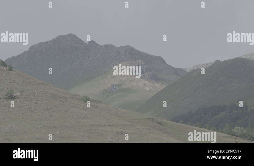 100 meadows Stock Videos & Footage - HD and 4K Video Clips - Alamy