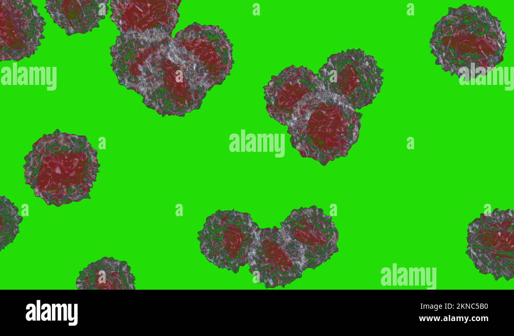 White blood cells flow, Monocyte, Green Screen Chromakey Stock Video ...