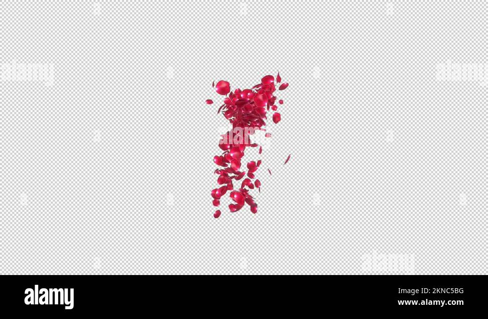 Number made from flower Stock Videos & Footage - HD and 4K Video Clips ...