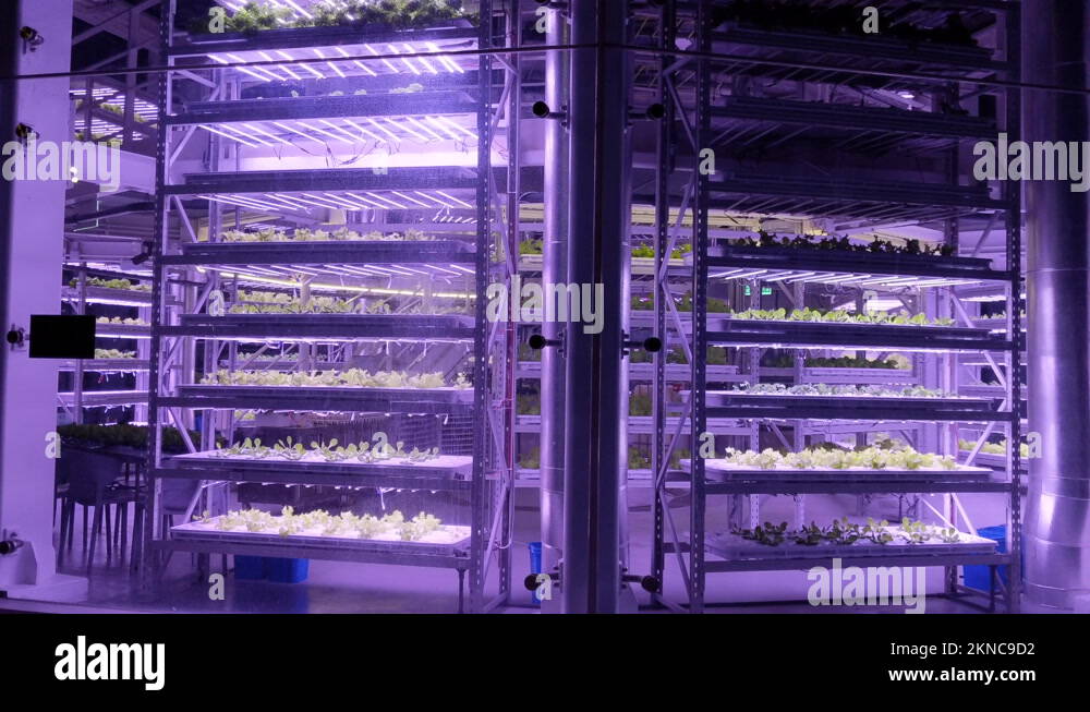 Vertical farm building Stock Videos & Footage - HD and 4K Video Clips ...