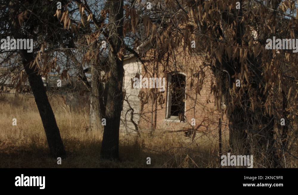 Hollow windows Stock Videos & Footage - HD and 4K Video Clips - Alamy