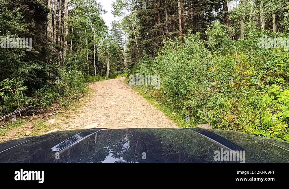 Bumpy narrow gravel road with dense forest around, driving POV view ...