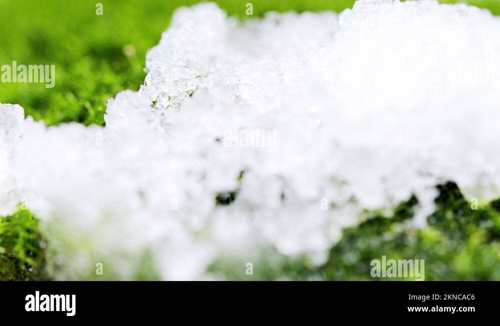 Melting ice. Moss with water, light leaks Stock Video Footage - Alamy