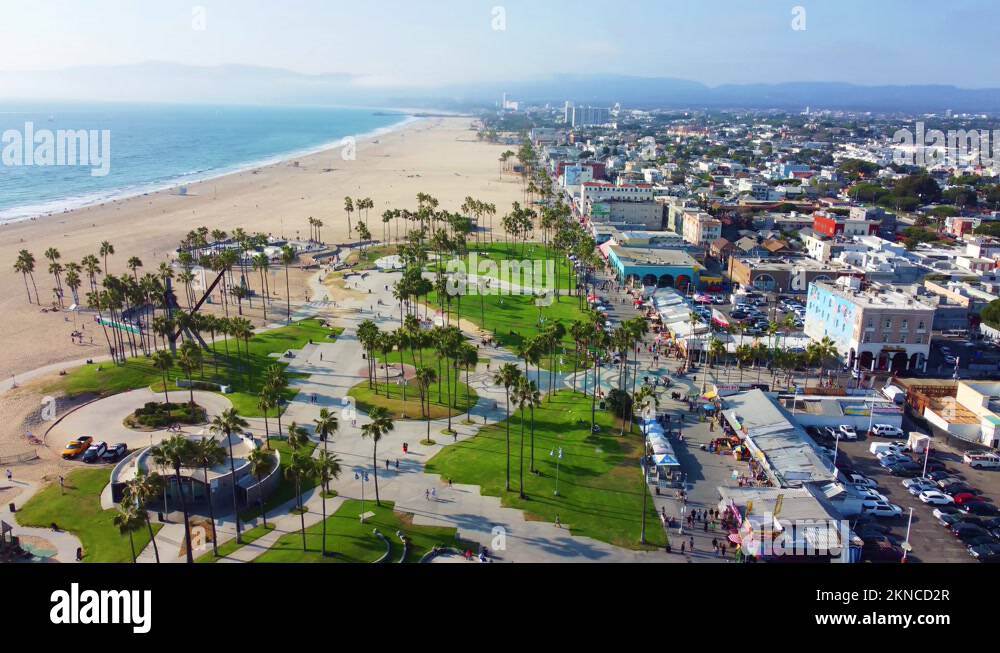 01 4K AERIAL Venice Beach 180 Pan Over Palm Trees, Ocean Water, Waves ...