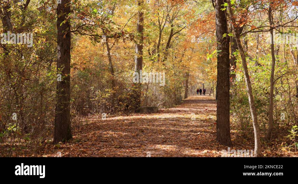 Color trail Stock Videos & Footage - HD and 4K Video Clips - Alamy