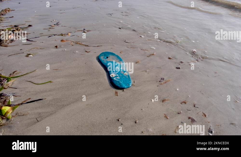 Ocean plastic pollution waste, a discarded turquoise flip flop washed ...