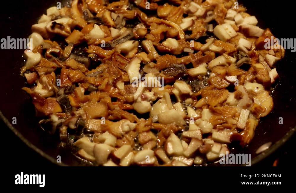 Fungi recipe Stock Videos & Footage - HD and 4K Video Clips - Alamy